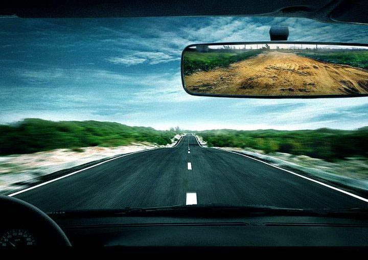 Look Back to Move Forward – New Creation Living