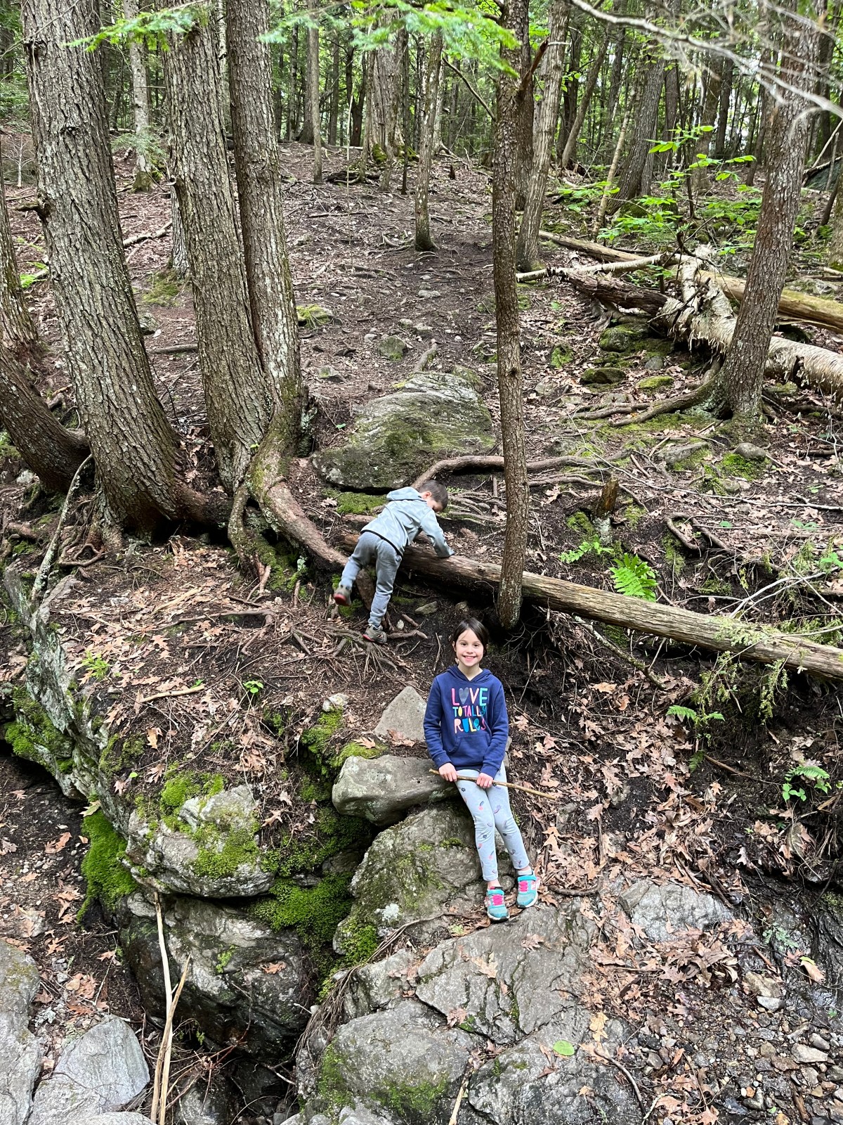 Lucy Update Day 4-5: Groaning, Double-Guessing, Grace and Gas – New ...