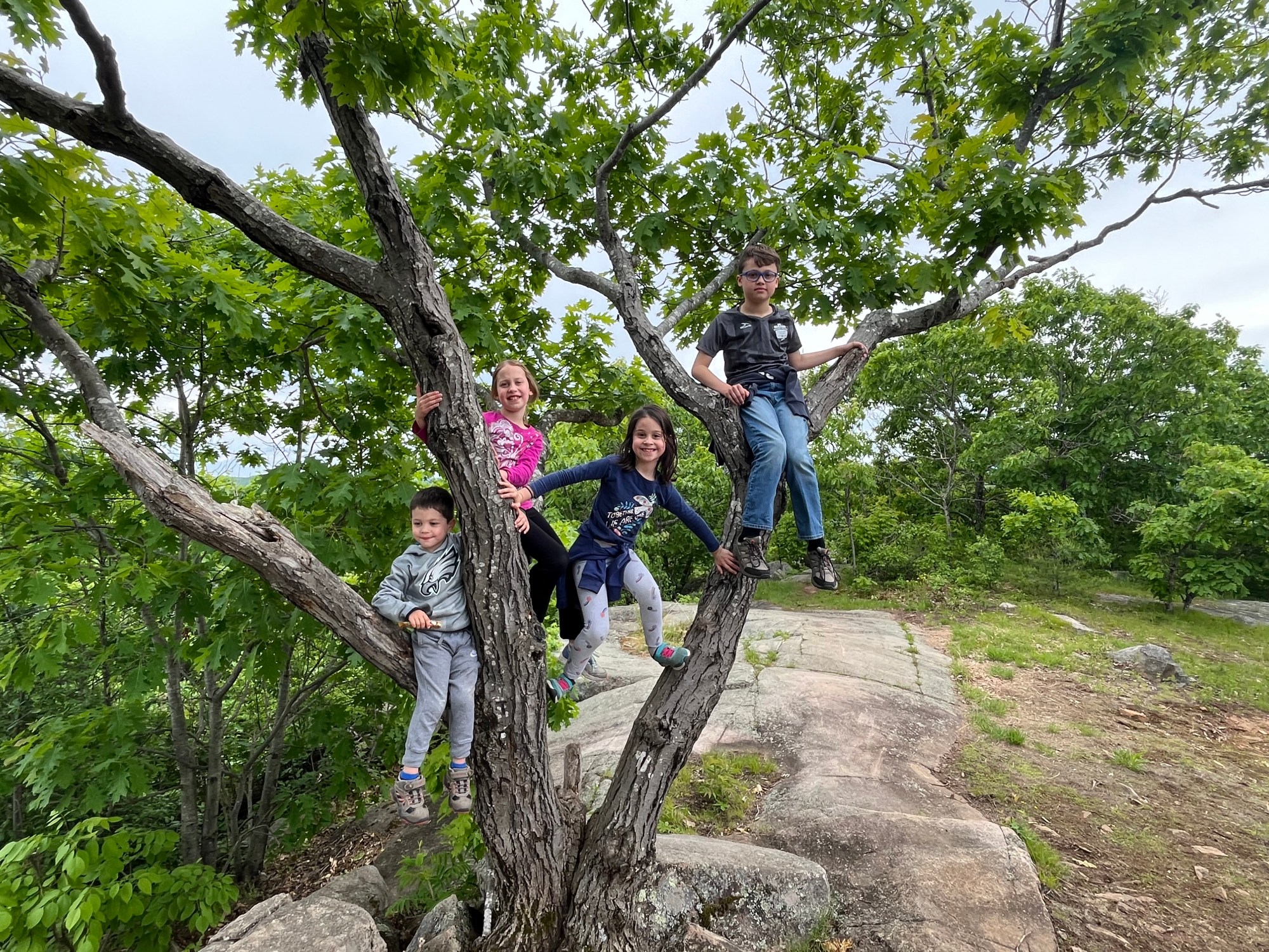 Lucy Update Day 4-5: Groaning, Double-Guessing, Grace and Gas – New ...